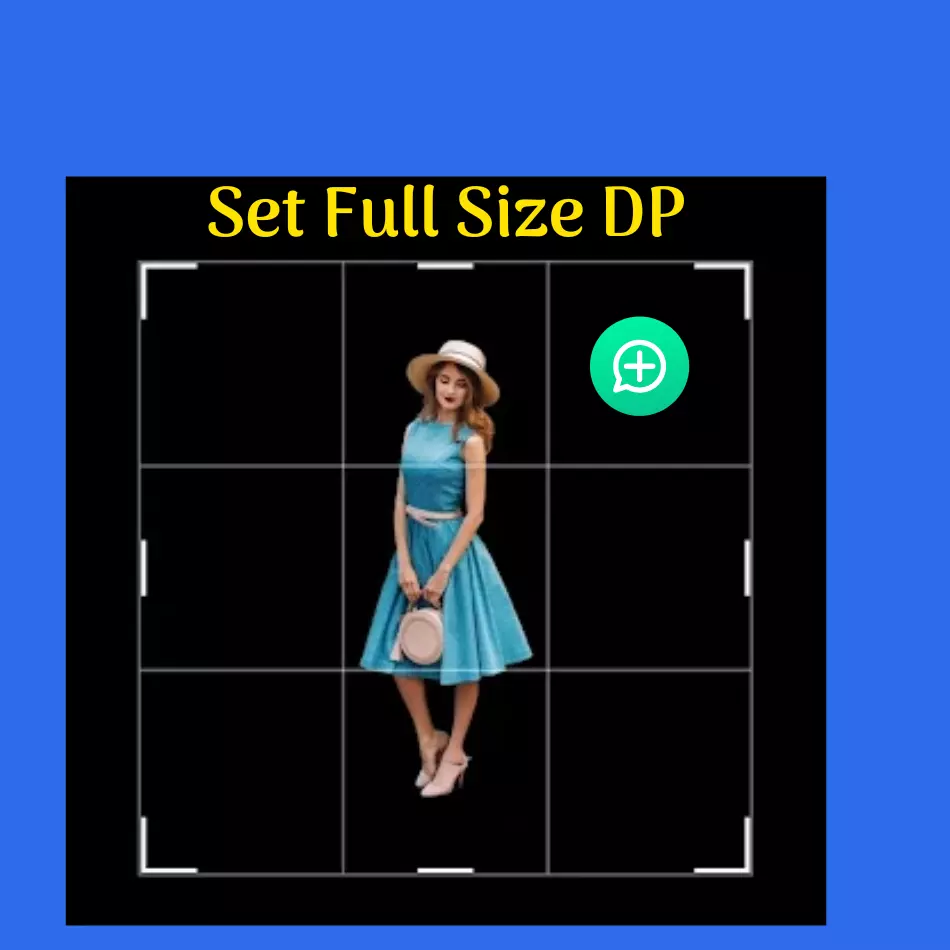 Set Full Size DP Set Full Size DP